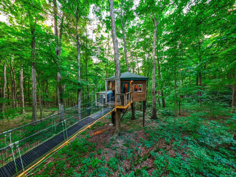 Home - Among The Trees Lodging